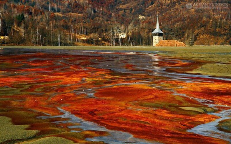 L’Or et la cyanuration (ou cyanurisation de l’or) - Orobel